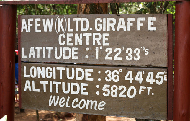 In Which Direction Does Water Drain at the Equator? - The Gate