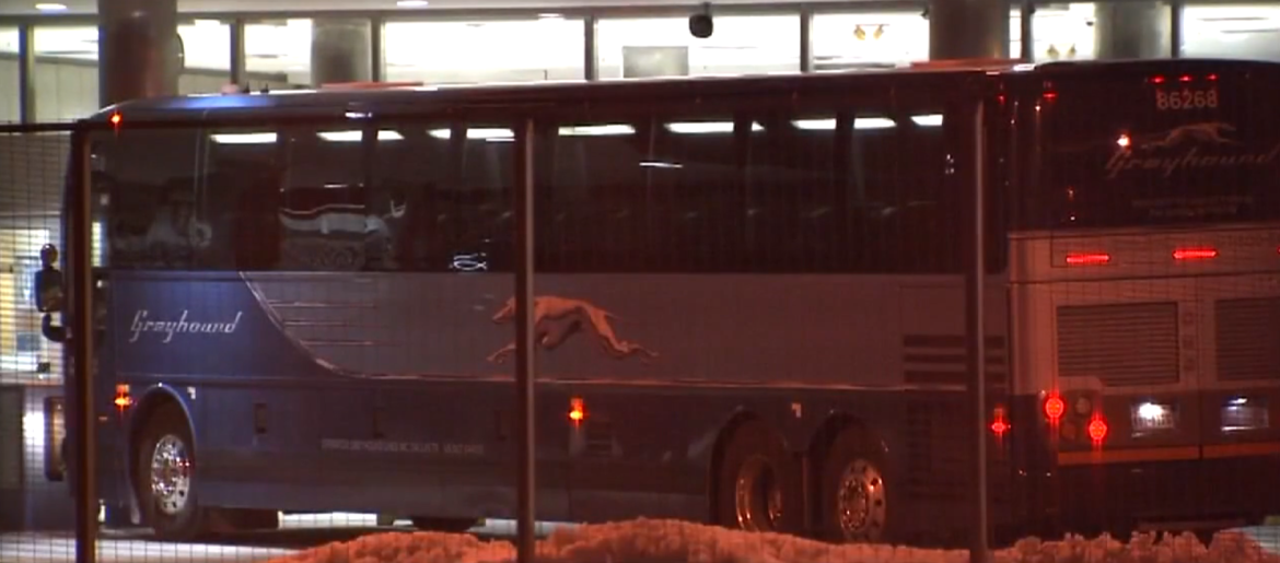 Cockroach Infestation on a Bus - The Gate