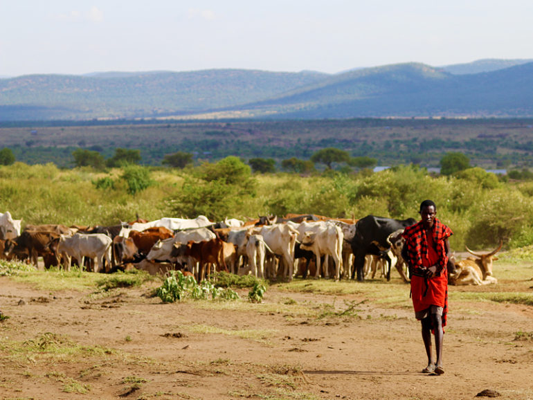 The Ethics of Possibly Exploiting Human Beings While Traveling - The Gate