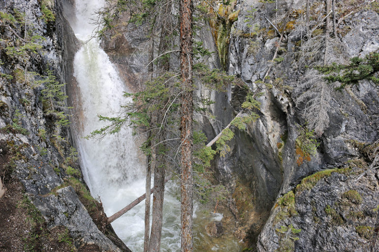 A Quiet Moment at Silverton Falls in Banff National Park - The Gate