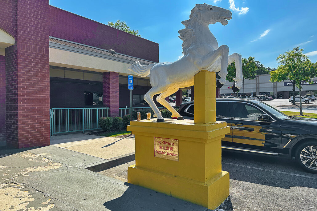 Vehicle Registration Codes By Country: Interactive Chart and Answers ...