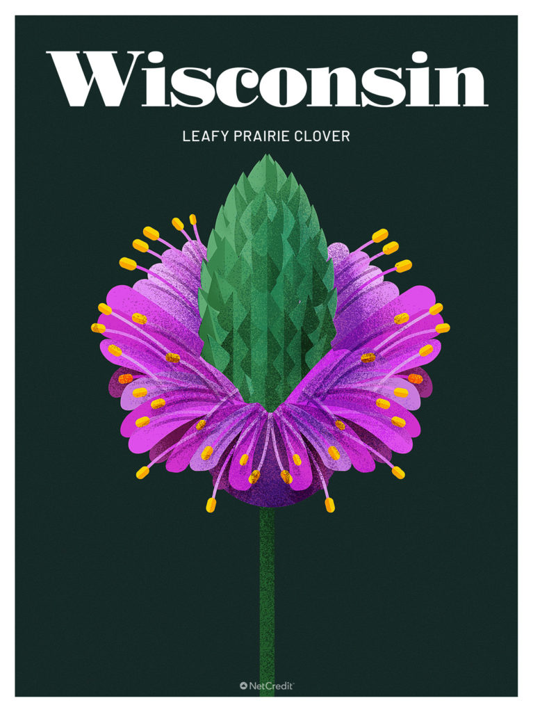 49-Endangered-plants-US-Wisconsin-Leafy-Prairie-Clover - The Gate