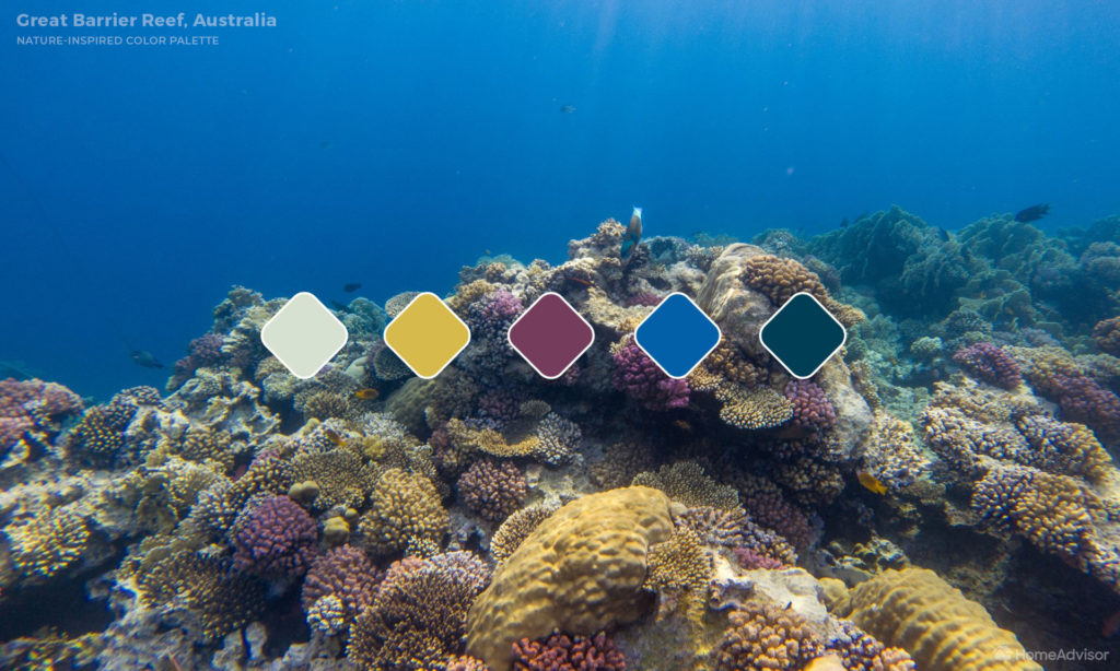 03_Great-Barrier-Reef-Color-Palette - The Gate