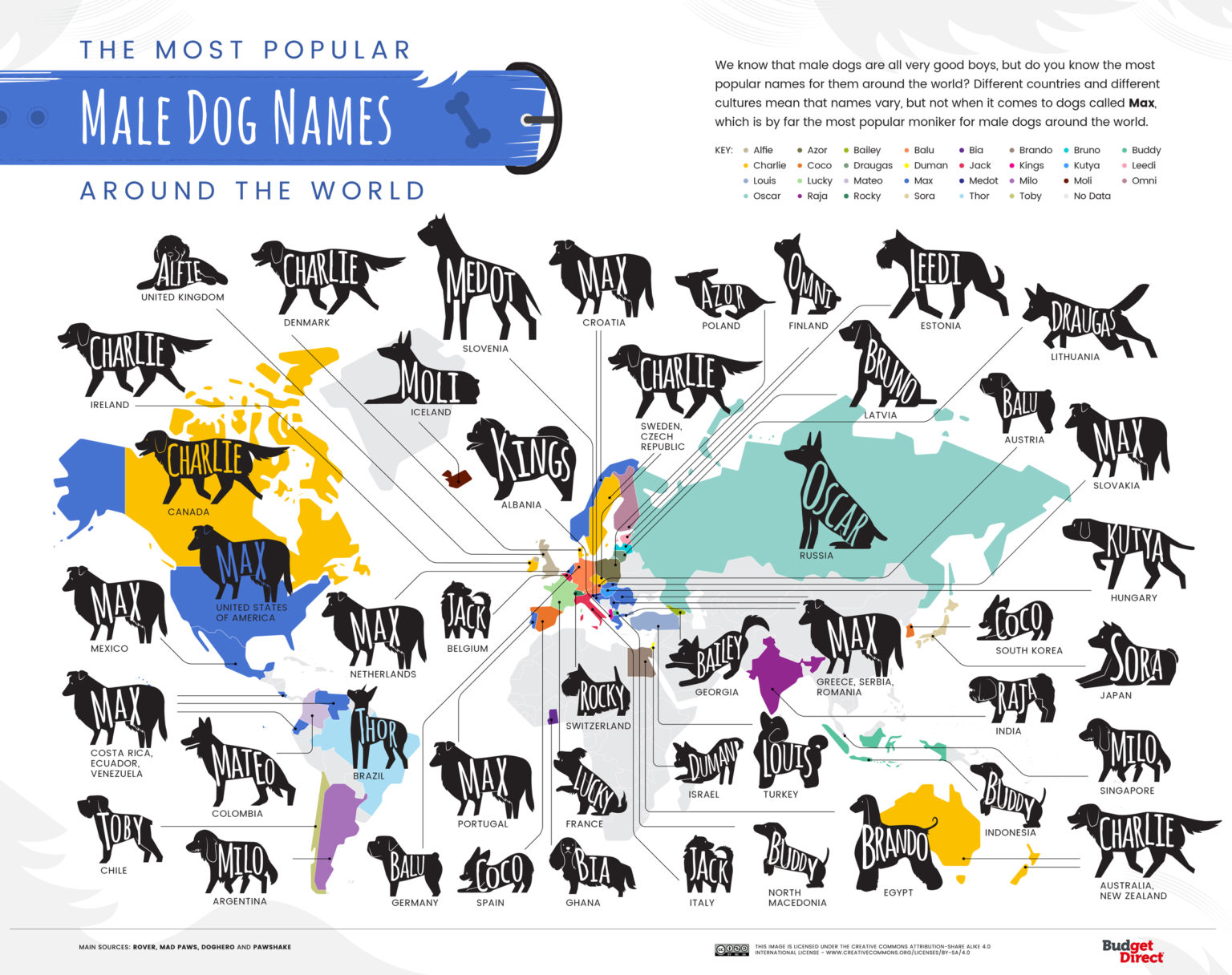 The Most Popular Dog Names Around the World - The Gate