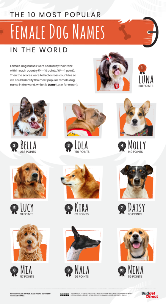 The Most Popular Dog Names Around the World - The Gate