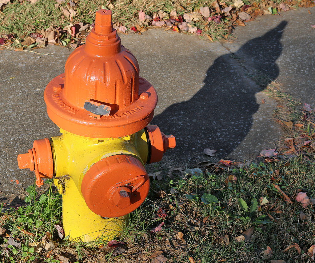 Why Are Fire Hydrants Different Colors in More Cities? - The Gate