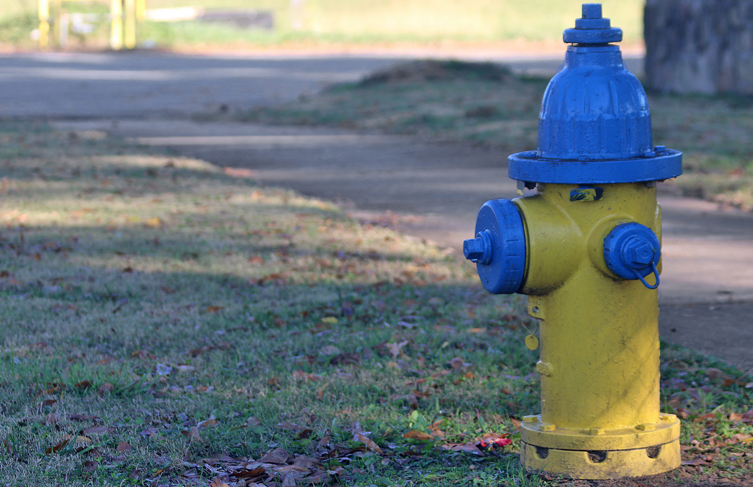Why Are Fire Hydrants Different Colors in More Cities? - The Gate