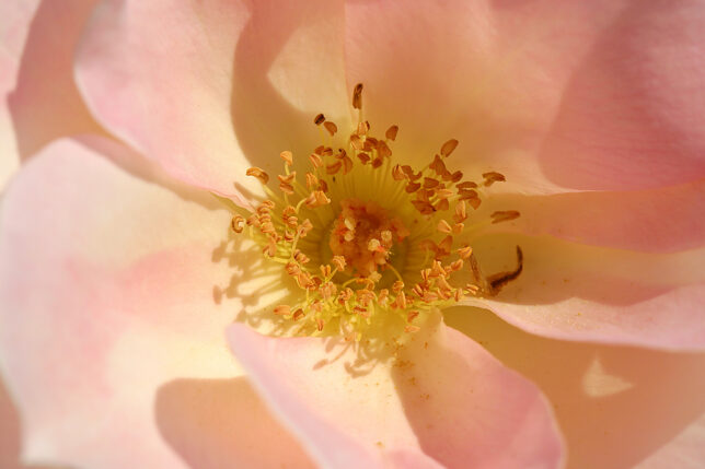 What Is This? Part 2. - The Gate