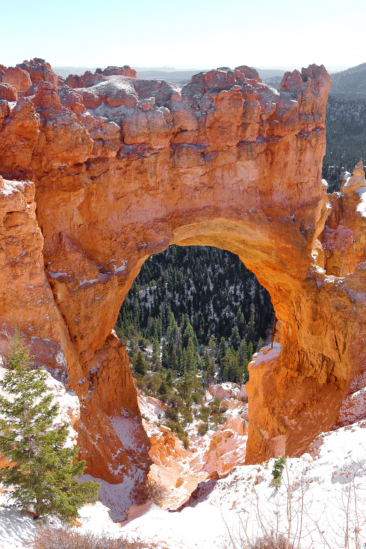 Bryce Natural Bridge at Bryce National Park in Utah - The Gate