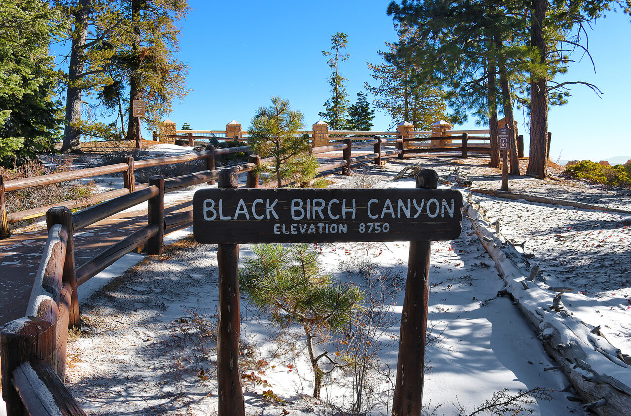 Black Birch Canyon at Bryce Canyon National Park - The Gate
