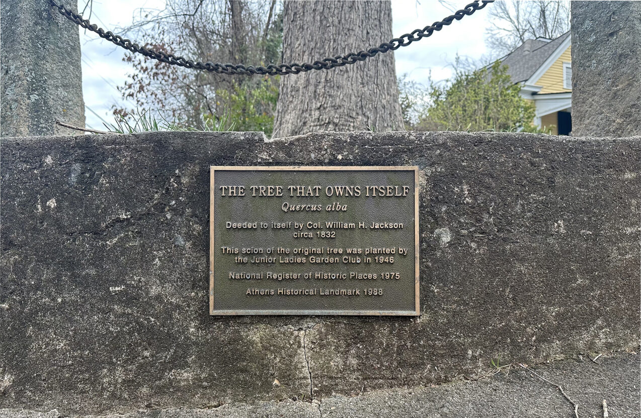 The Tree That Owns Itself in Athens, Georgia. - The Gate