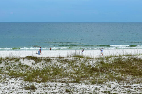 Avis First: A New Premium Rental Experience is Now Available - The Gate