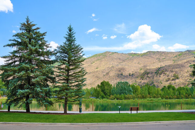 Who is CF Frost? - The Gate