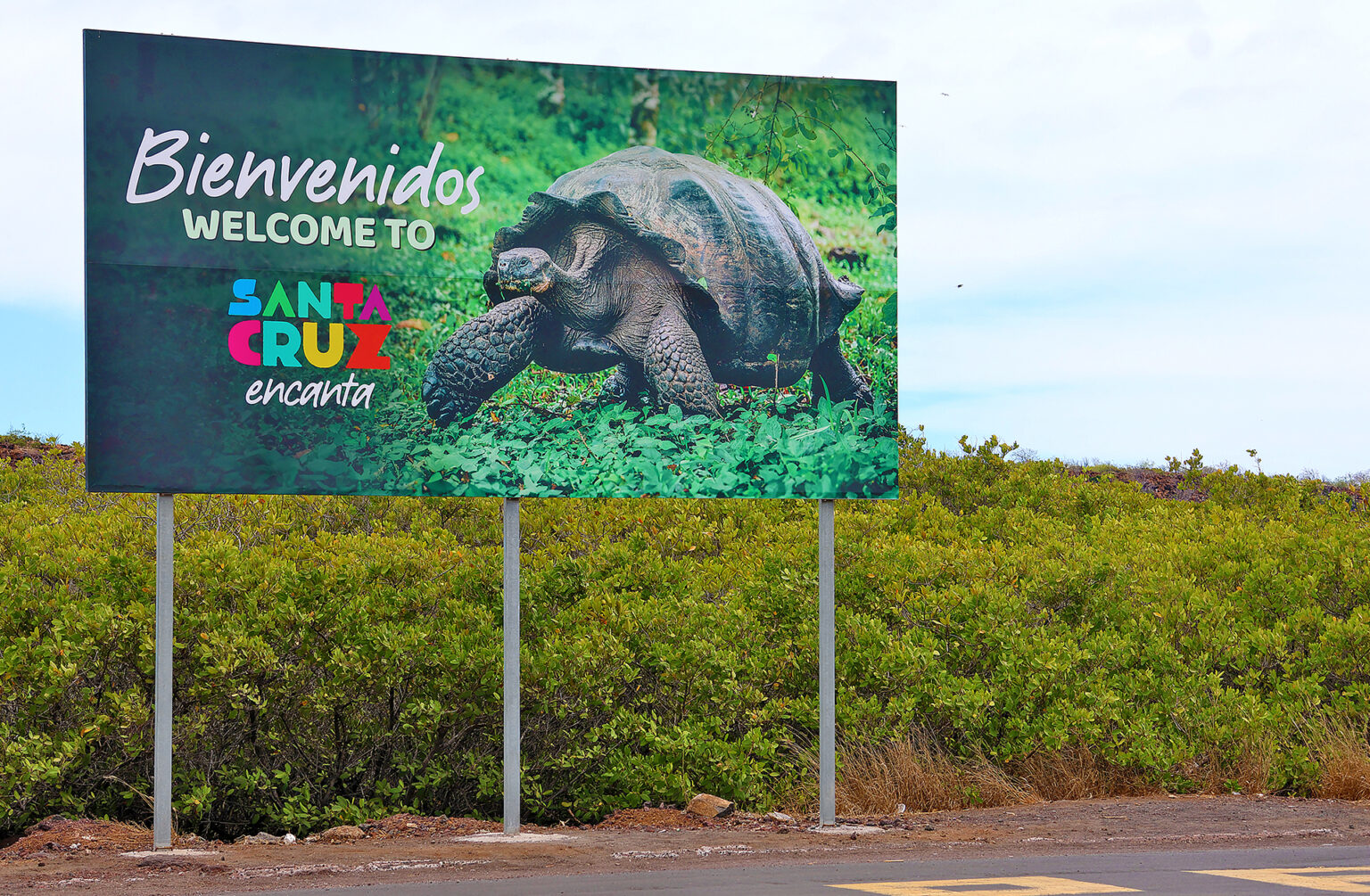 One of My Best Lodging Stays Ever: Royal Palm Galapagos, Curio ...